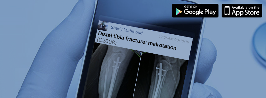 Orthobullets Logos & Brand Assets | Brandfetch