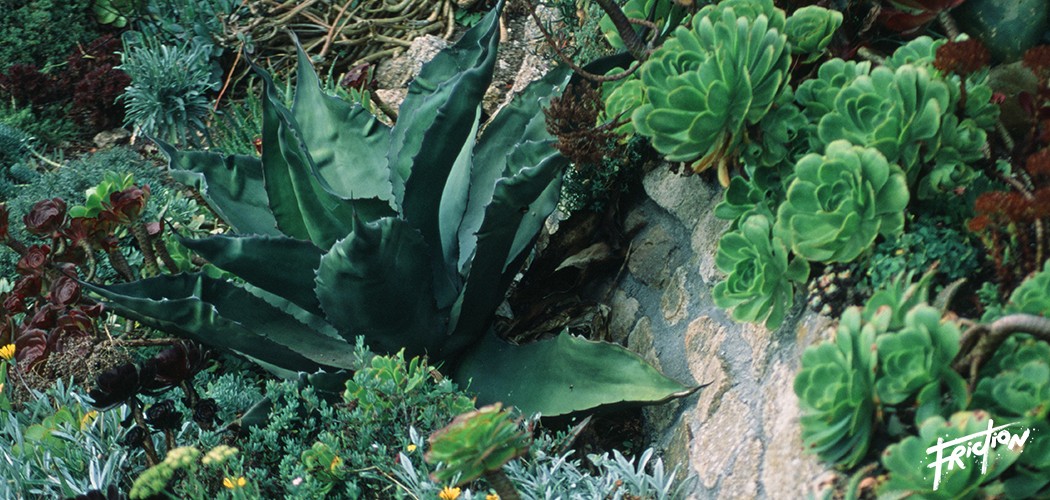 Brandfetch | Friction Collective Logos & Brand Assets