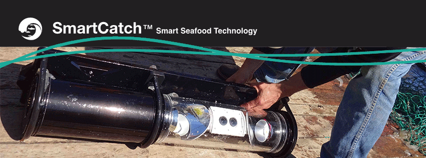Brandfetch | SmartCatch Logos & Brand Assets