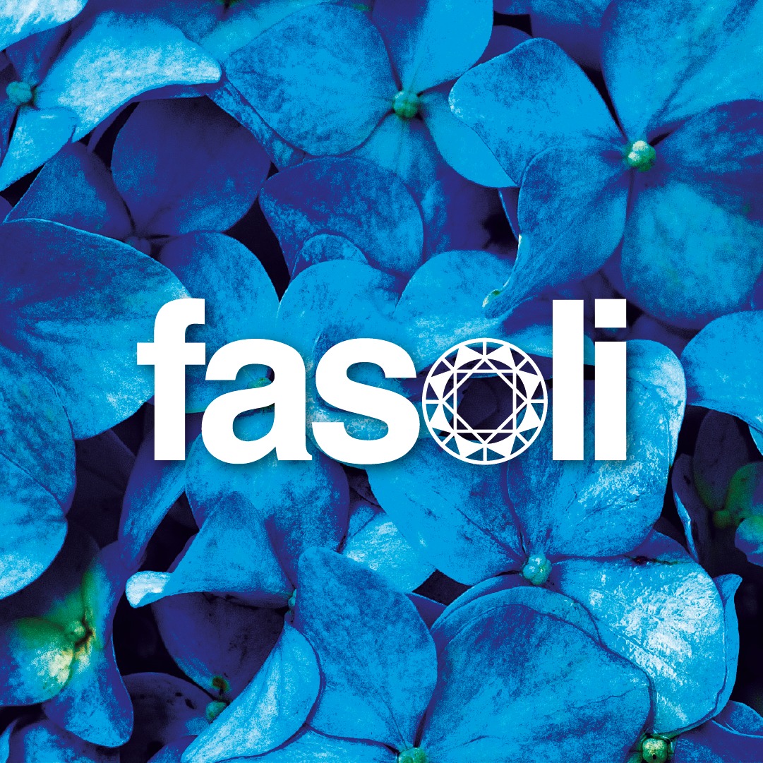 Brandfetch | Fasoli Logos & Brand Assets