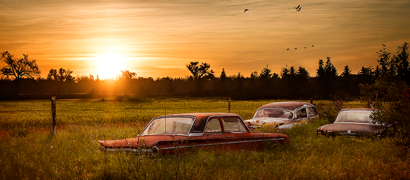 Princess Auto Logo & Brand Assets (SVG, PNG and vector) - Brandfetch