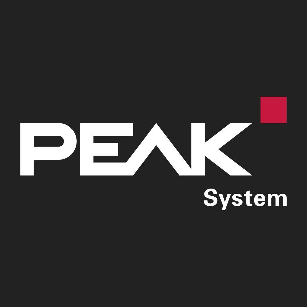 Brandfetch | PEAKSystem Logos & Brand Assets