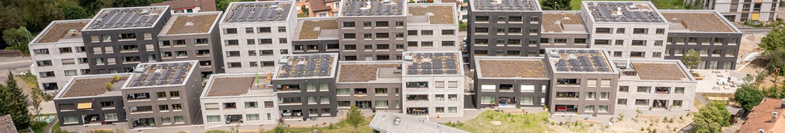 Bracher und Partner AG Logo & Brand Assets (SVG, PNG and vector ...