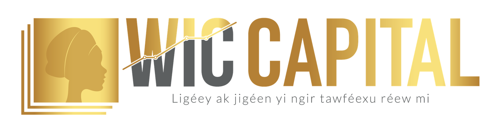 Brandfetch | WIC Sénégal Logos & Brand Assets