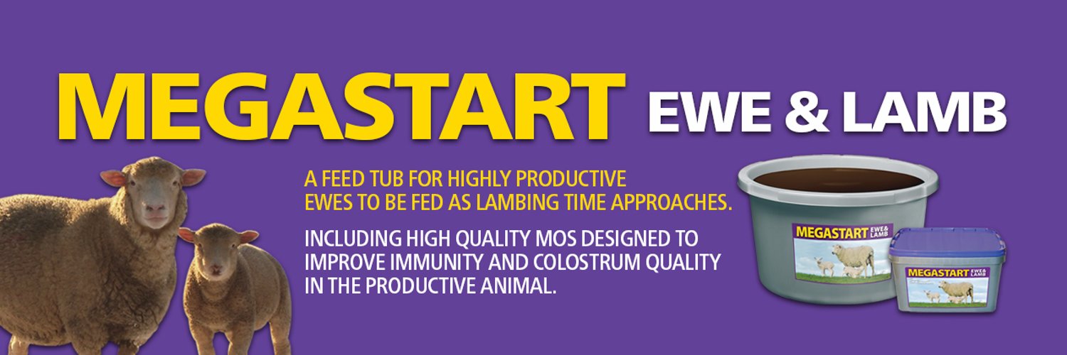 Brandfetch | Scotmin Nutrition Logos & Brand Assets