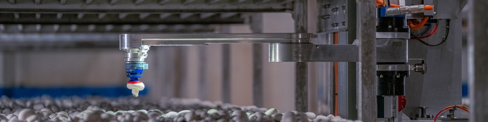 Brandfetch | TechBrew Robotics Logos & Brand Assets