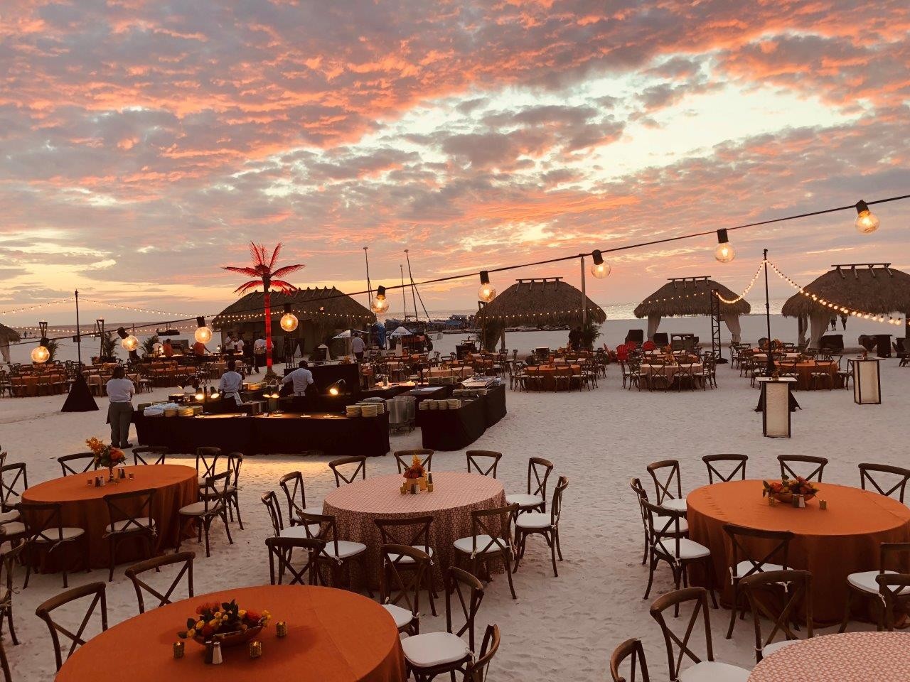 Brandfetch | Wizard Connection | Orlando FL Logos & Brand Assets