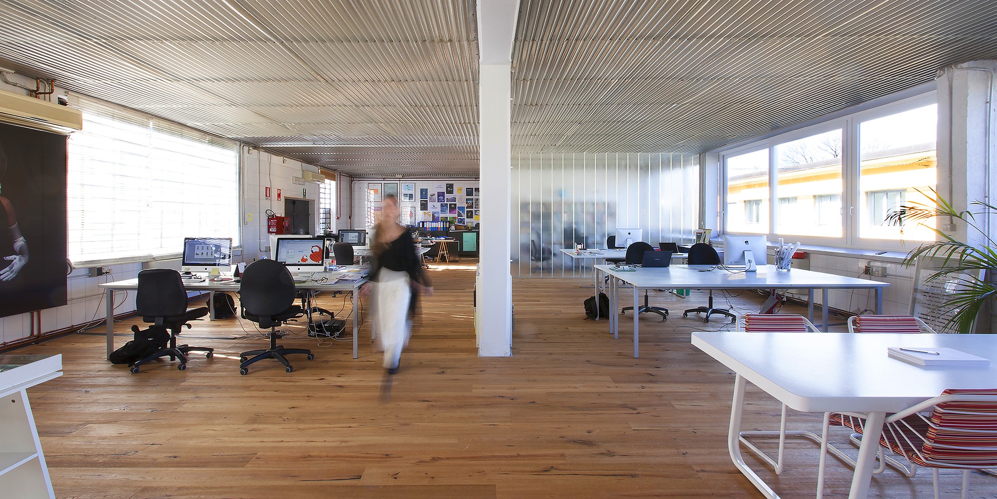 Bellissimo Logos & Brand Assets | Brandfetch