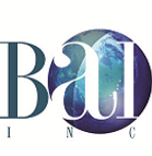 BAI Logos & Brand Assets | Brandfetch