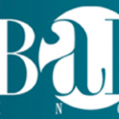 BAI Logos & Brand Assets | Brandfetch