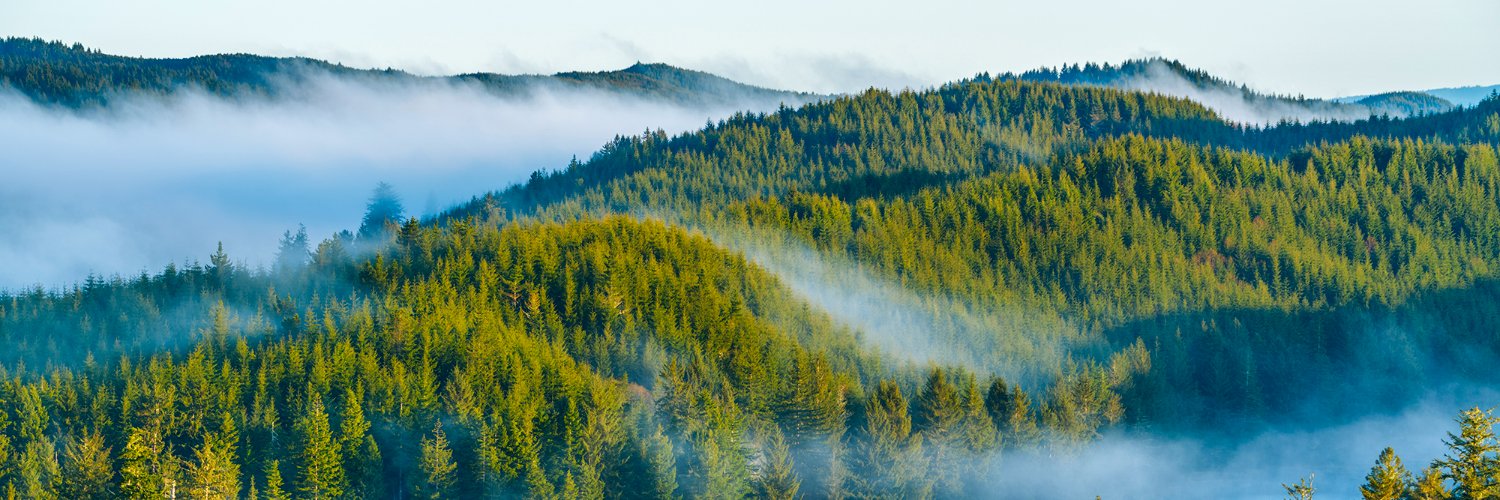 Brandfetch | ACTenviro Logos & Brand Assets