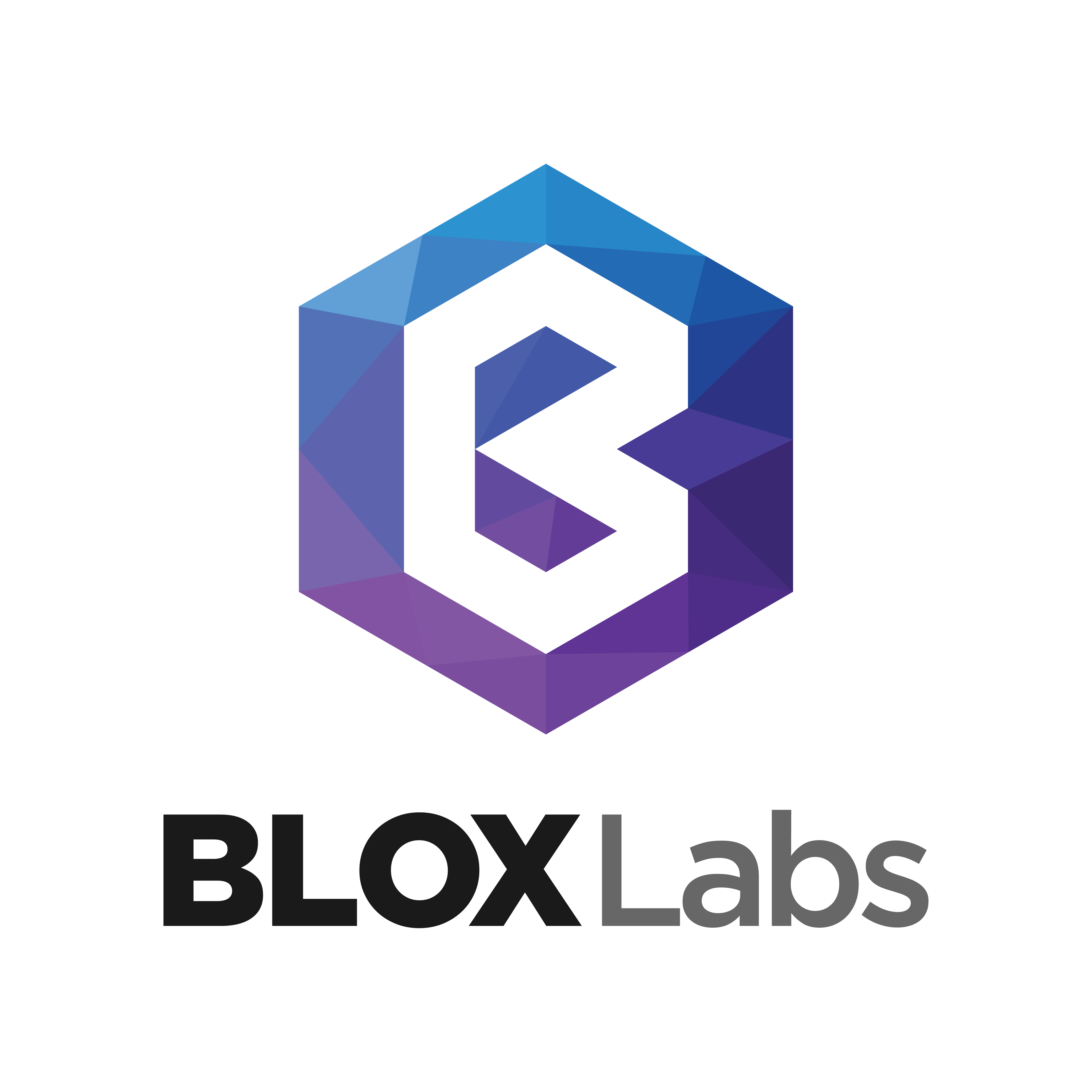 Brandfetch | Blox Labs Inc. Logos & Brand Assets