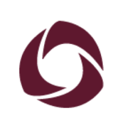 Professional Solutions Insurance Services Logos & Brand Assets | Brandfetch