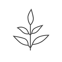 The LIVEKINDLY Co Logos & Brand Assets | Brandfetch