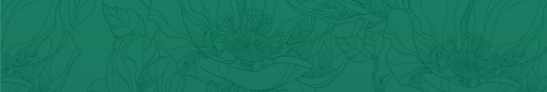 Brandfetch | Magnolia State Bank Logos & Brand Assets