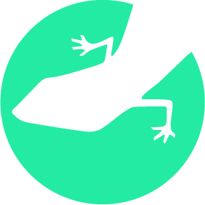 Brandfetch | Lizard Logos & Brand Assets