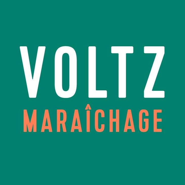 Brandfetch | VOLTZ Maraîchage Logos & Brand Assets