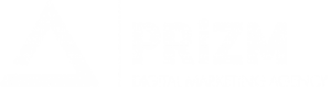Brandfetch | PRiZM Digital Marketing Agency Logos & Brand Assets