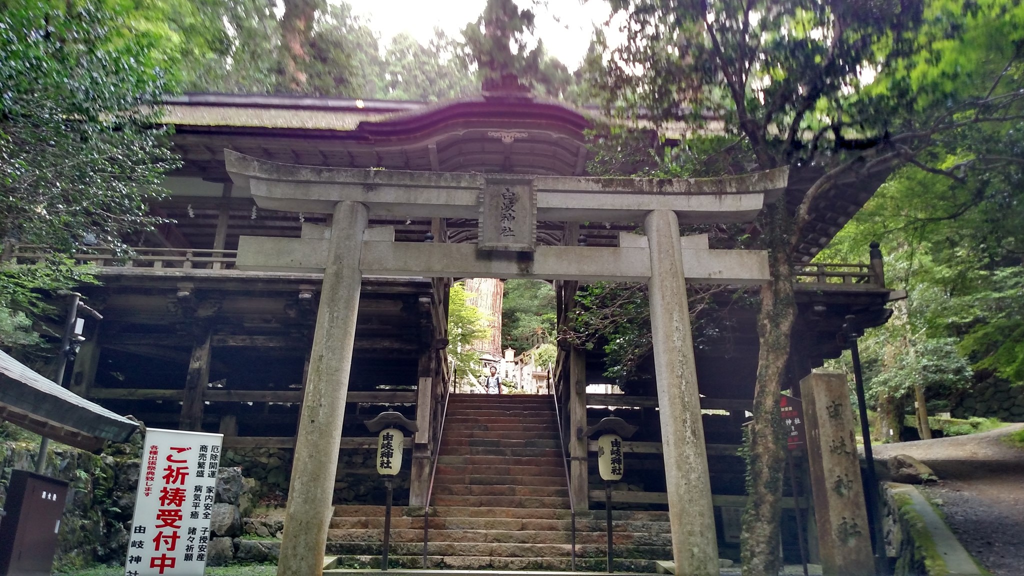 Brandfetch | The Rambling Blog Logos & Brand Assets