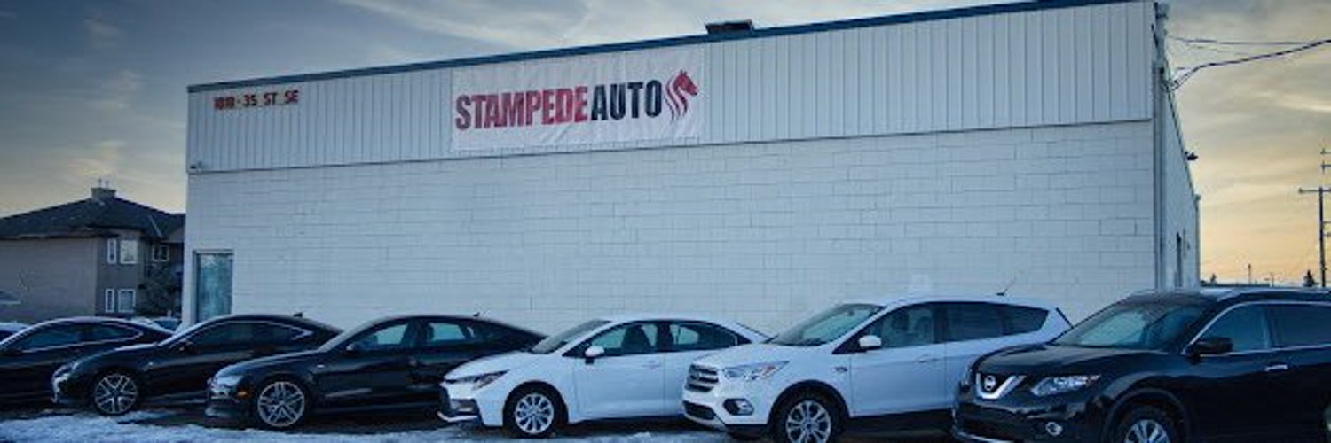 Brandfetch | Stampede Auto Logos & Brand Assets