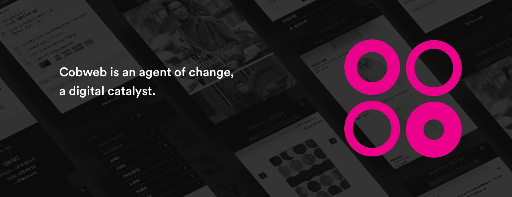 Brandfetch | Cobweb Logos & Brand Assets