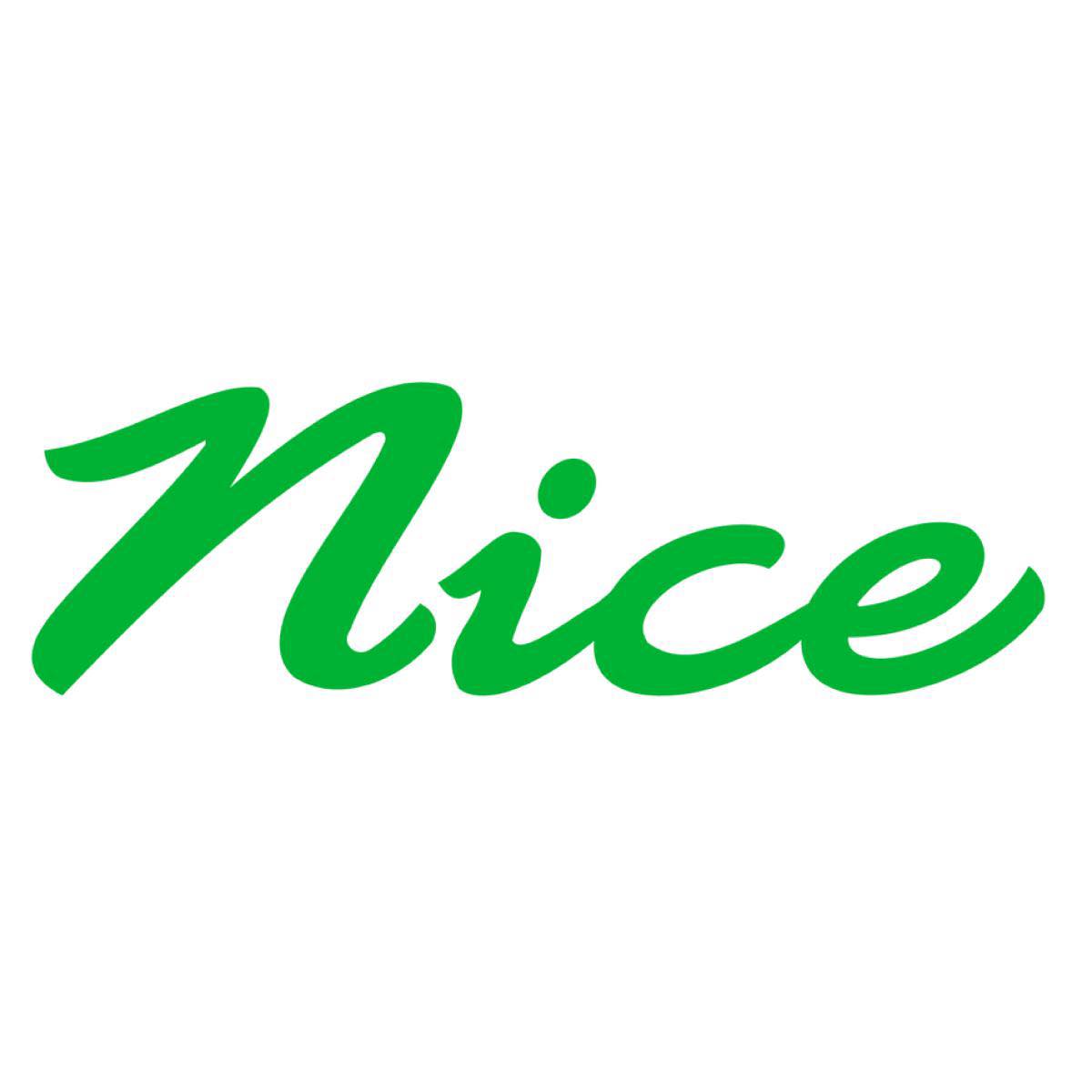 Brandfetch | NICE Logos & Brand Assets