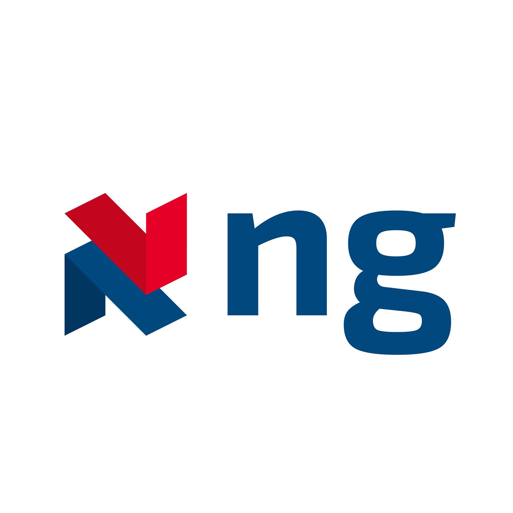 Brandfetch | NG Engineering Group | Wroclaw Logos & Brand Assets