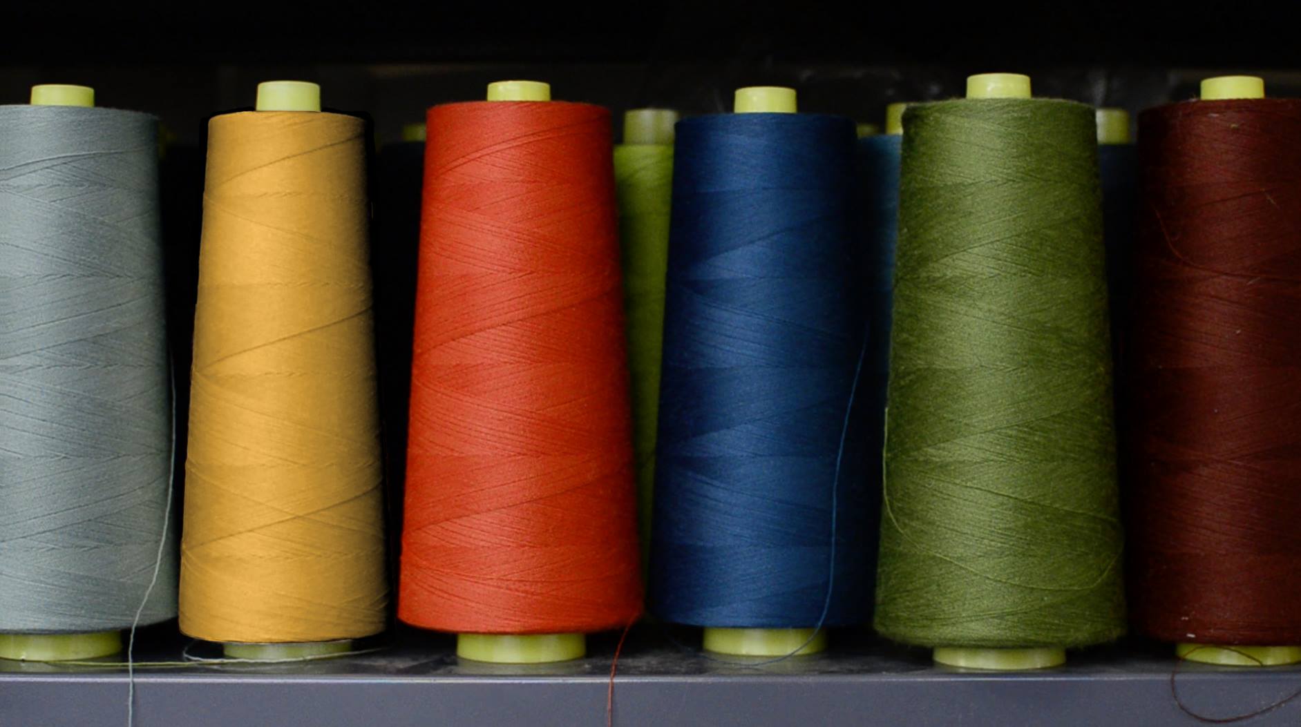 Plantation Patterns Logos & Brand Assets | Brandfetch