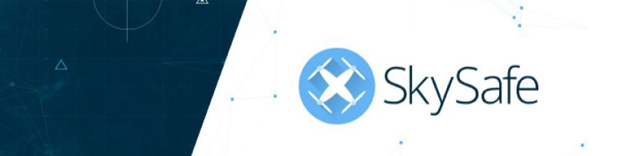 Brandfetch | SkySafe Logos & Brand Assets