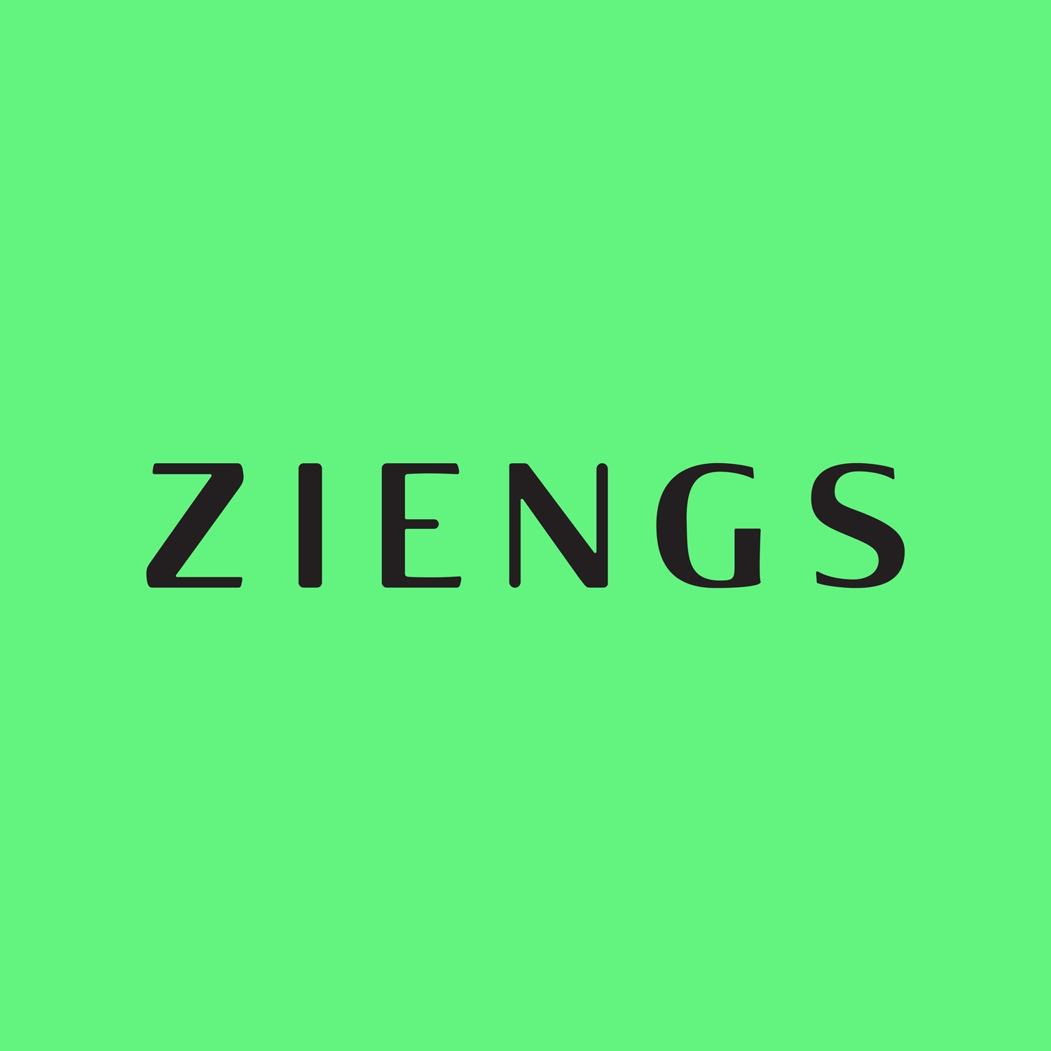 Ziengs Schoenen Logos & Brand Assets | Brandfetch