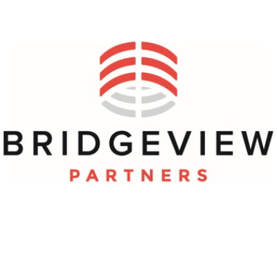 Brandfetch | BridgeView Partners Logos & Brand Assets