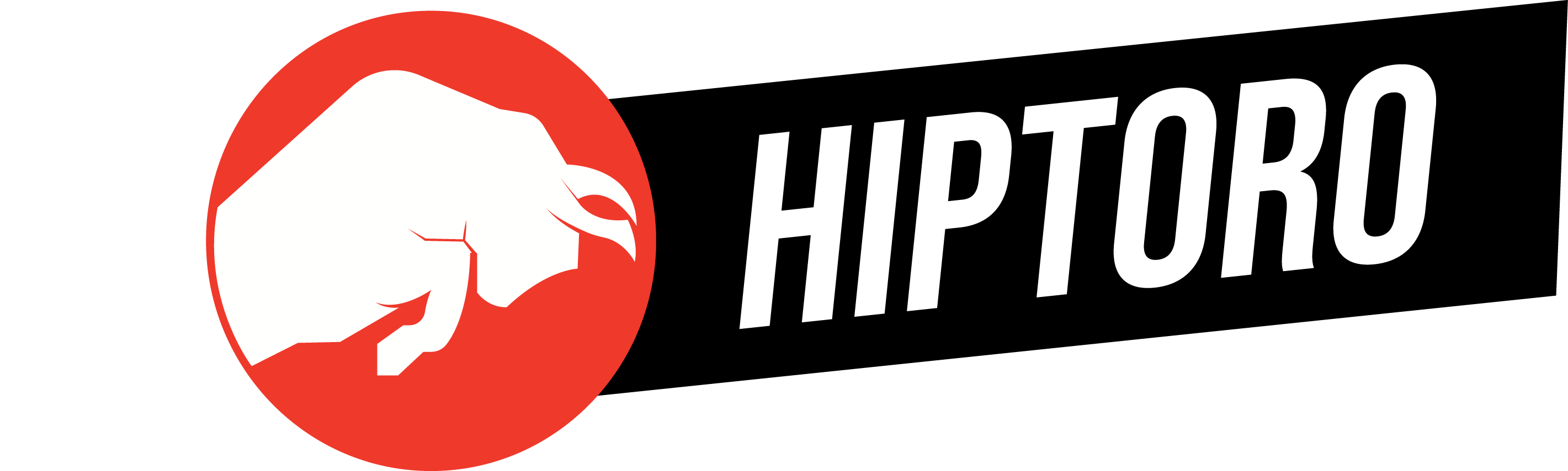 Brandfetch | Hiptoro Logos & Brand Assets