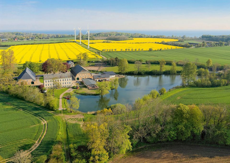 Brandfetch | Gut Oestergaard Logos & Brand Assets