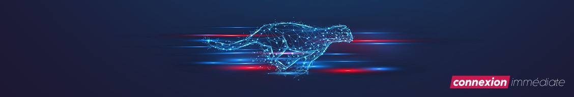 Brandfetch | Socamont Logos & Brand Assets