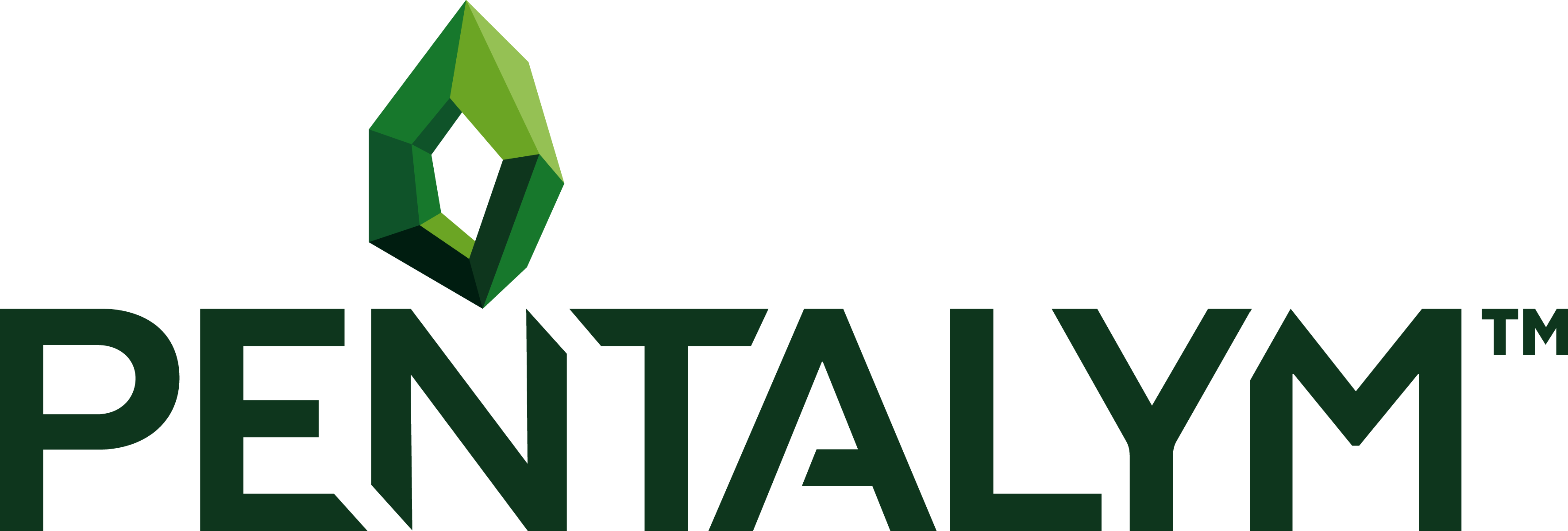 Pentalym Logo & Brand Assets (SVG, PNG and vector) - Brandfetch