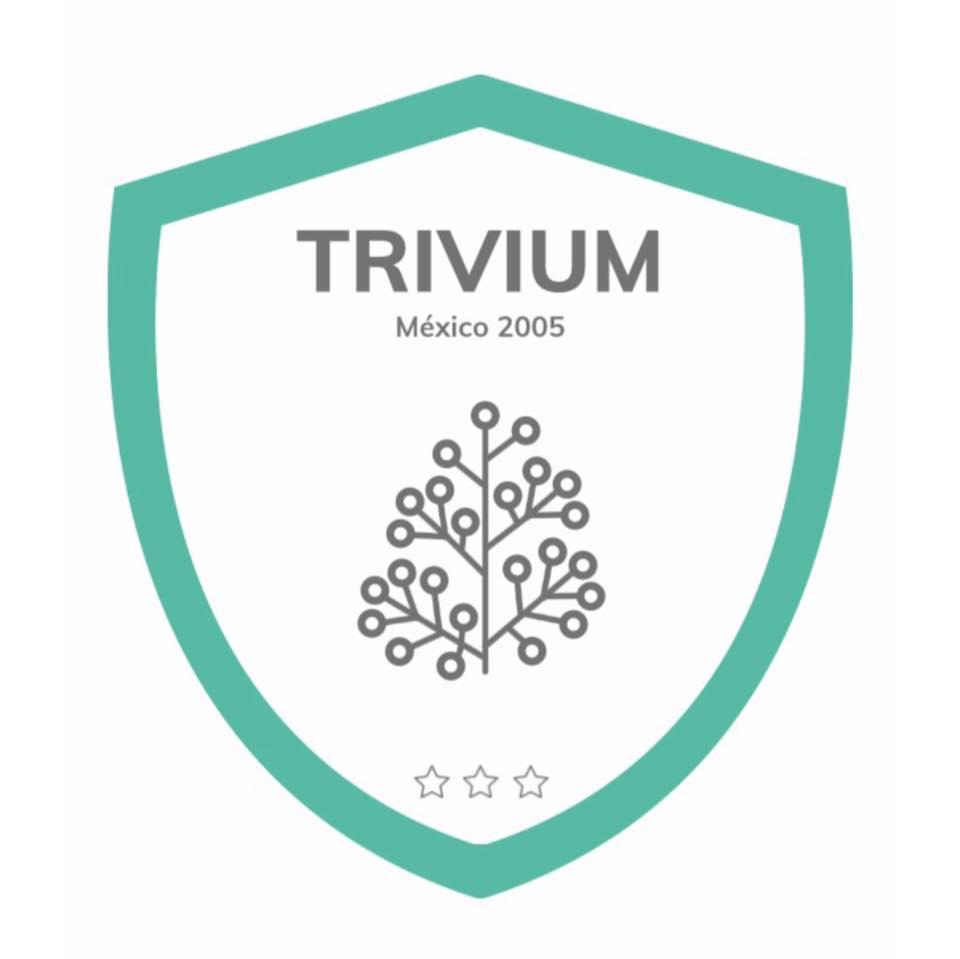 Brandfetch | Instituto Trivium Logos & Brand Assets