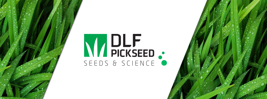 DLF Pickseed Logo & Brand Assets (SVG, PNG and vector) - Brandfetch