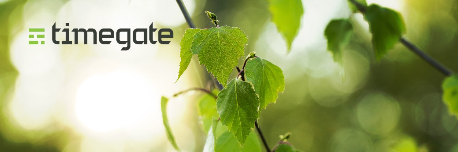 Timegate Instruments Logo & Brand Assets (SVG, PNG and vector) - Brandfetch