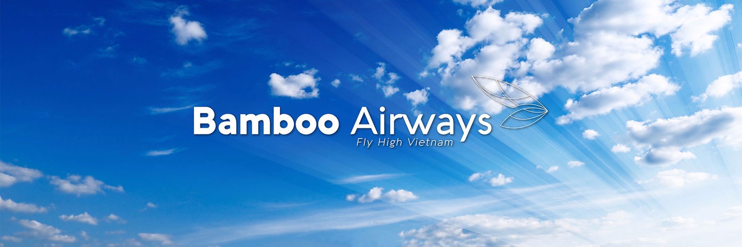 Brandfetch | Bamboo Airways Logos & Brand Assets