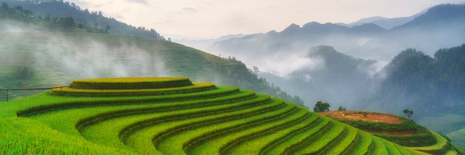 CropLife International Logo & Brand Assets (SVG, PNG and vector ...