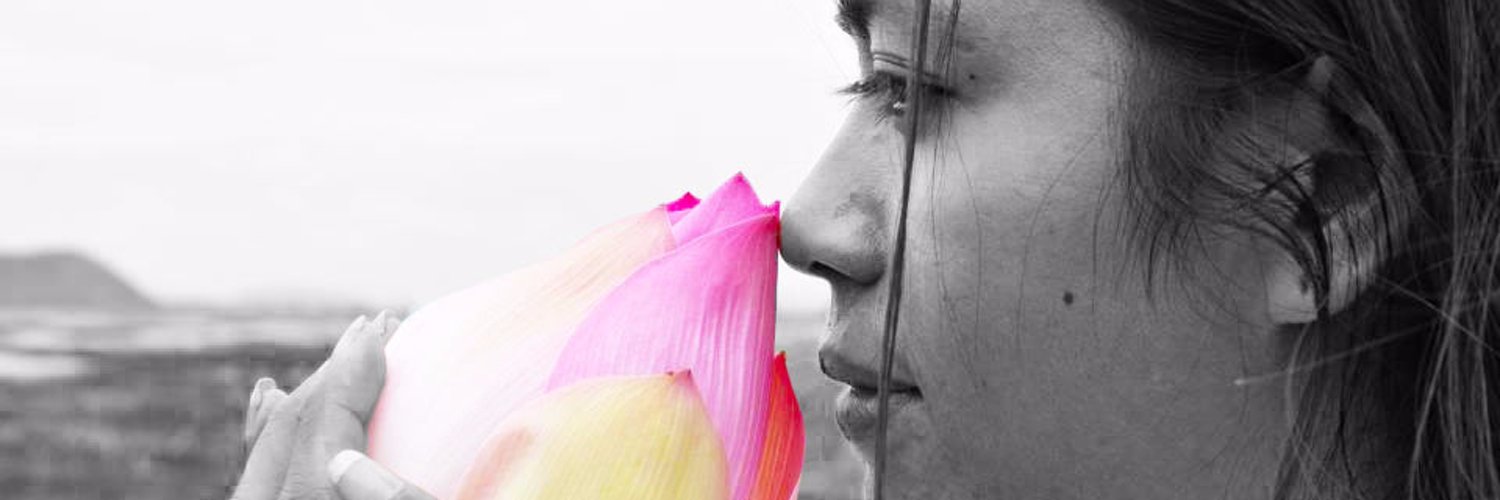 Brandfetch | Samatoa Lotus Textiles Logos & Brand Assets