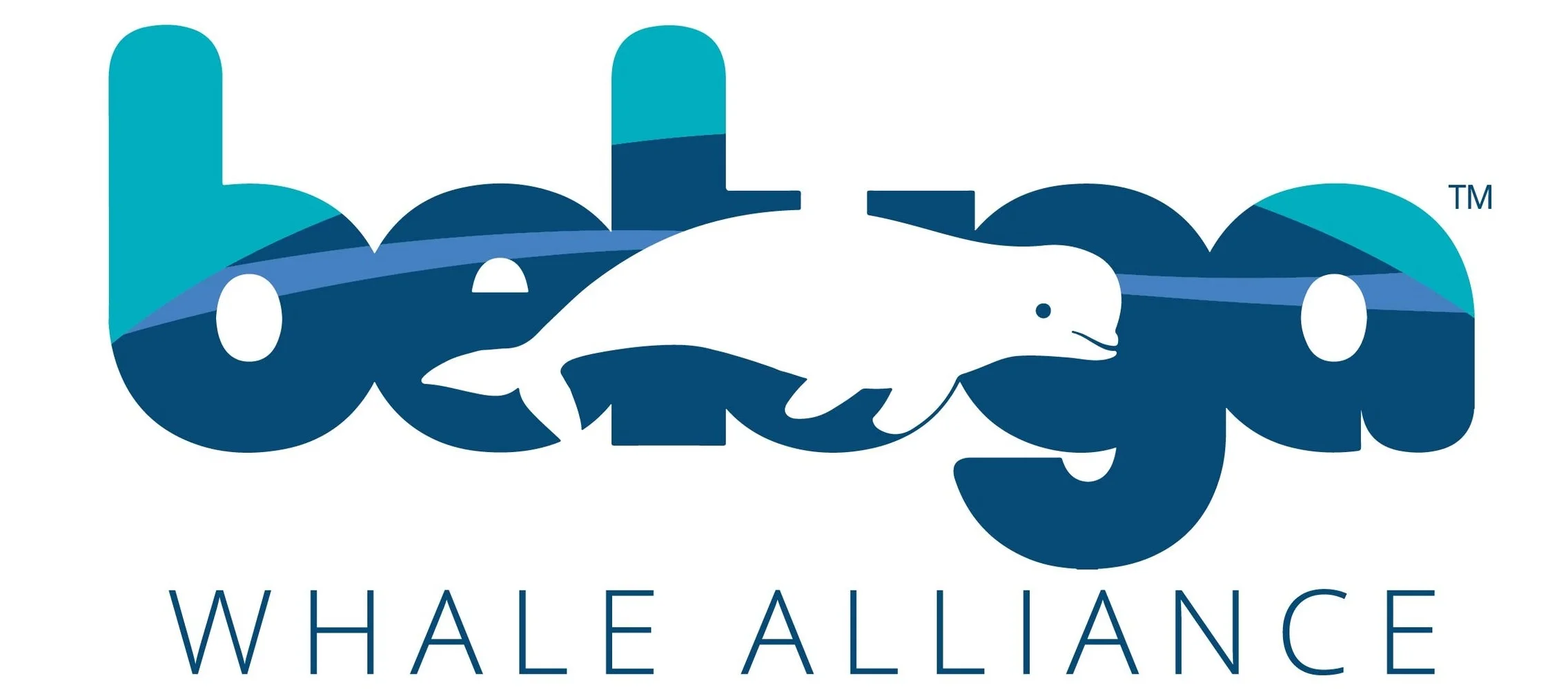 Brandfetch | Beluga Whale Alliance Logos & Brand Assets
