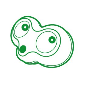 Brandfetch | Green Fortune Logos & Brand Assets