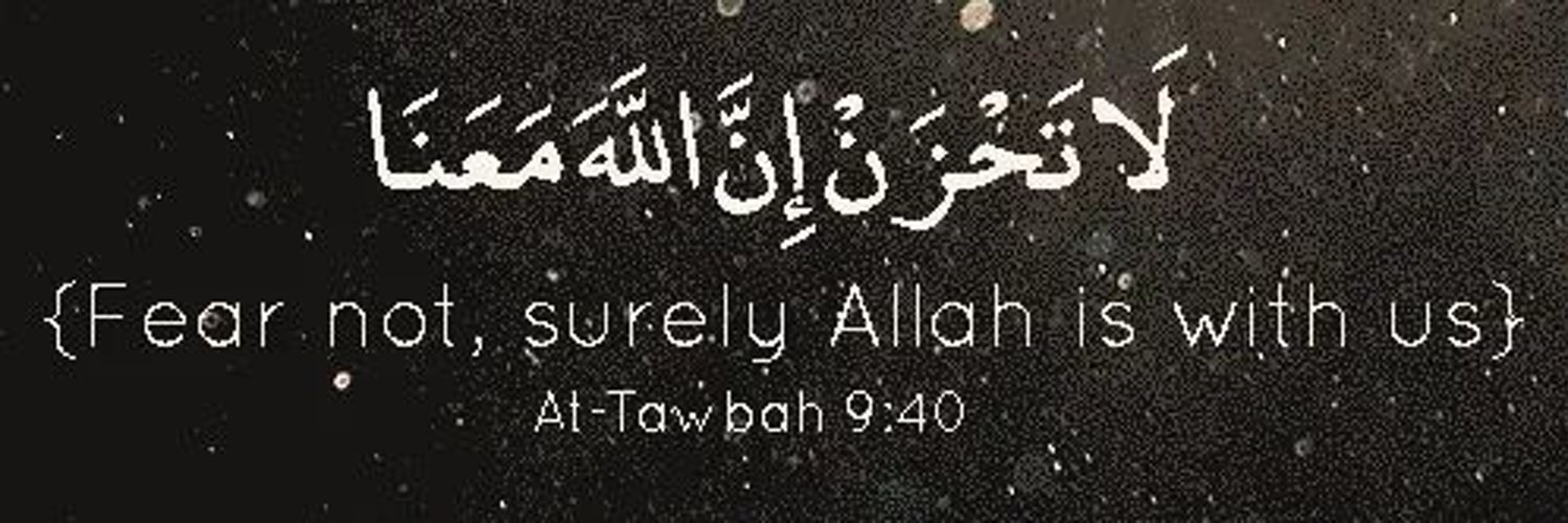 Brandfetch | Ali Tweel Logos & Brand Assets