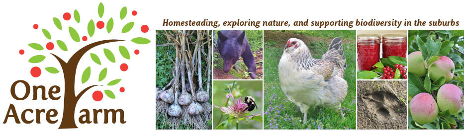 Brandfetch | One Acre Farm Logos & Brand Assets