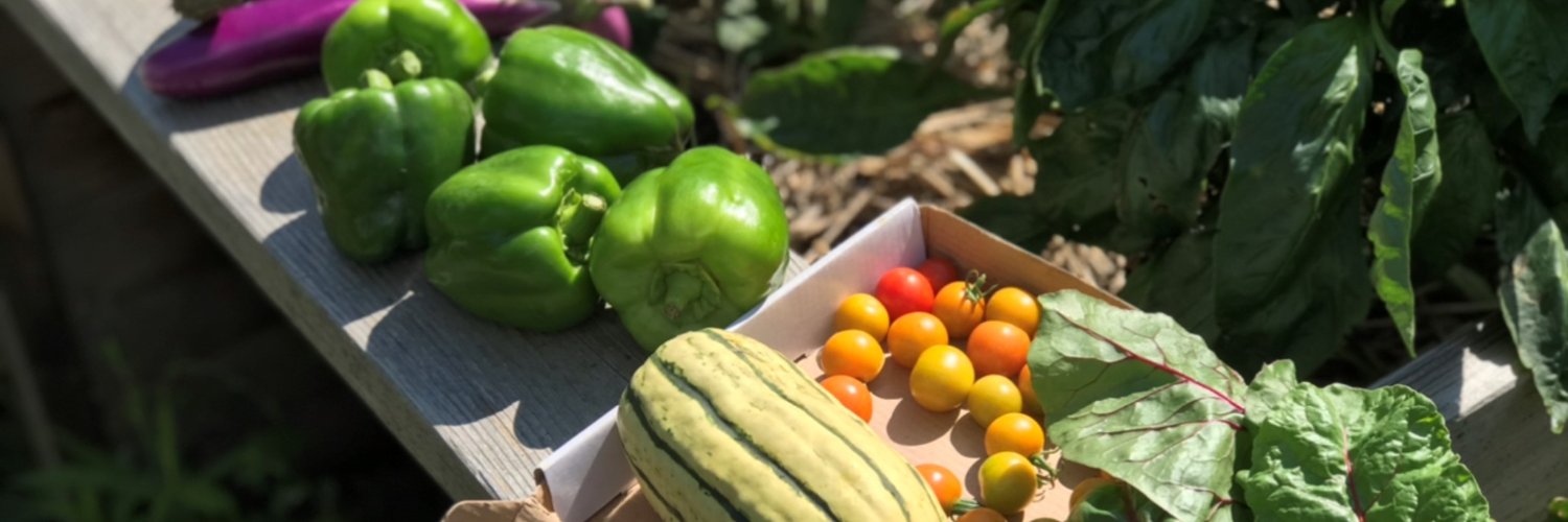 Brandfetch | Ecosource Logos & Brand Assets