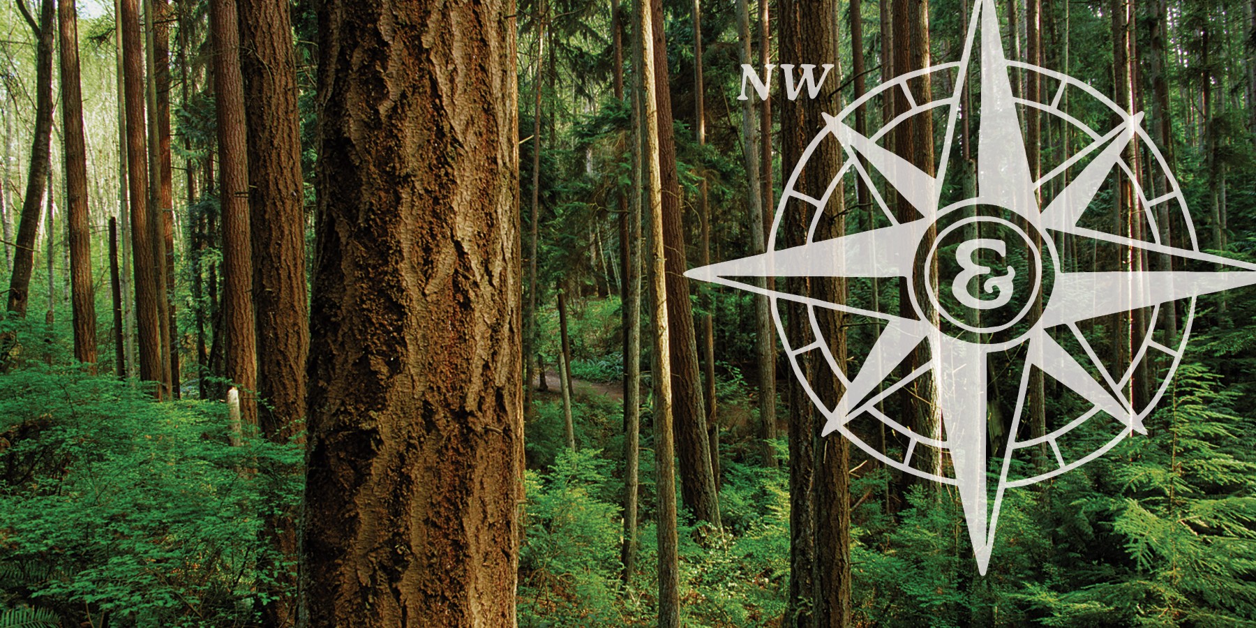 Forterra Logo & Brand Assets (SVG, PNG and vector) - Brandfetch