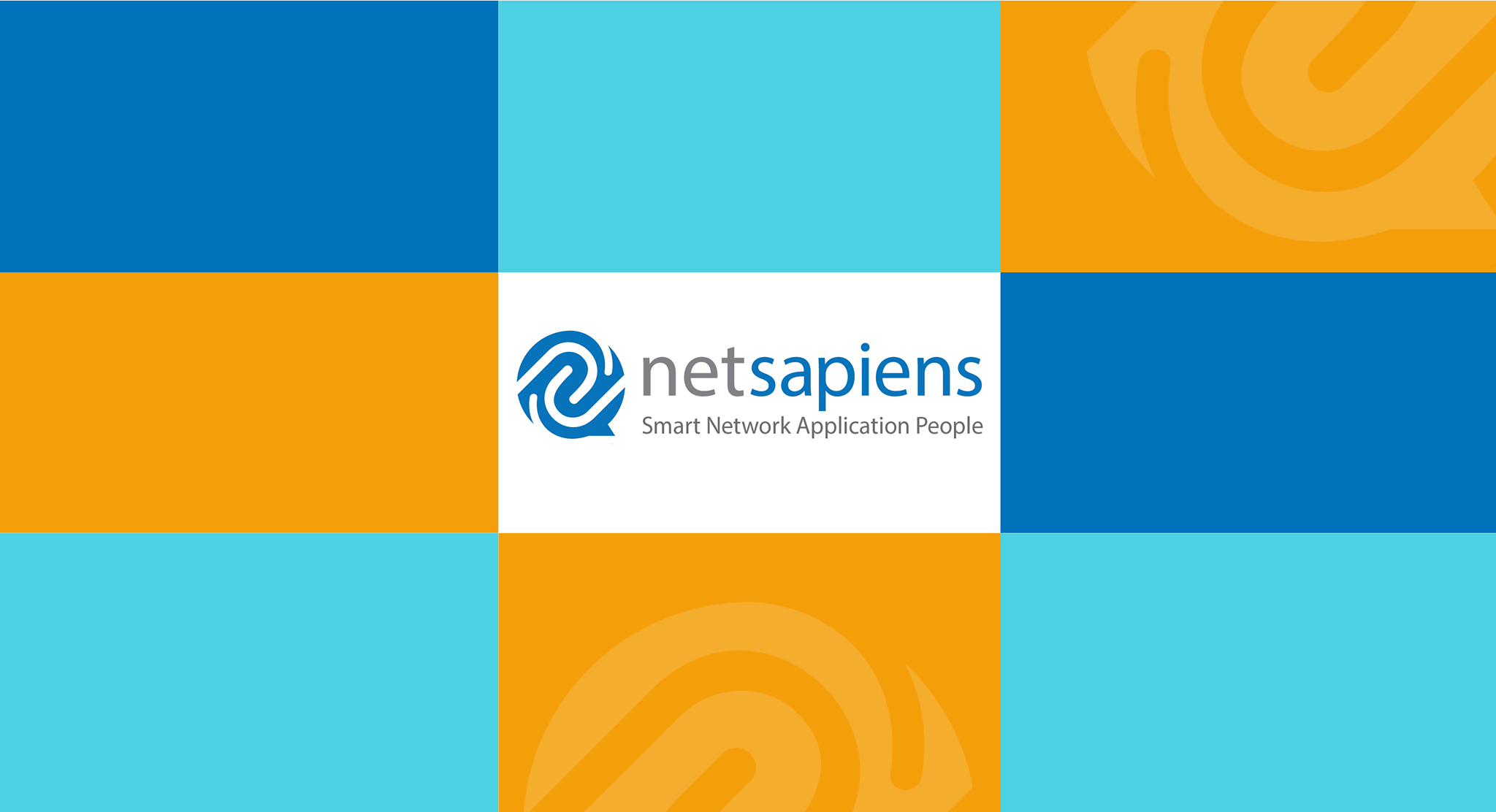 NetSapiens Logos & Brand Assets | Brandfetch