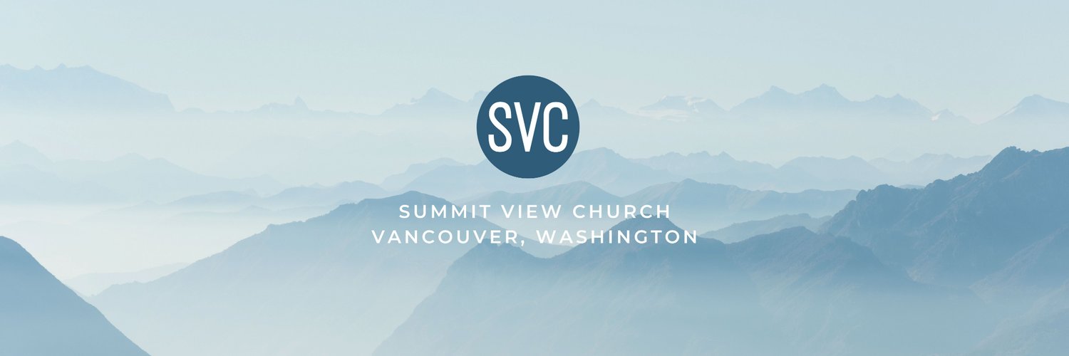 Brandfetch | Summit View Logos & Brand Assets
