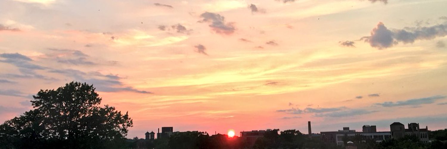 Brandfetch | Safia Logos & Brand Assets